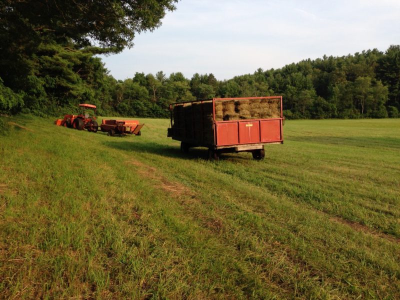 About Us | Old Wild Farm